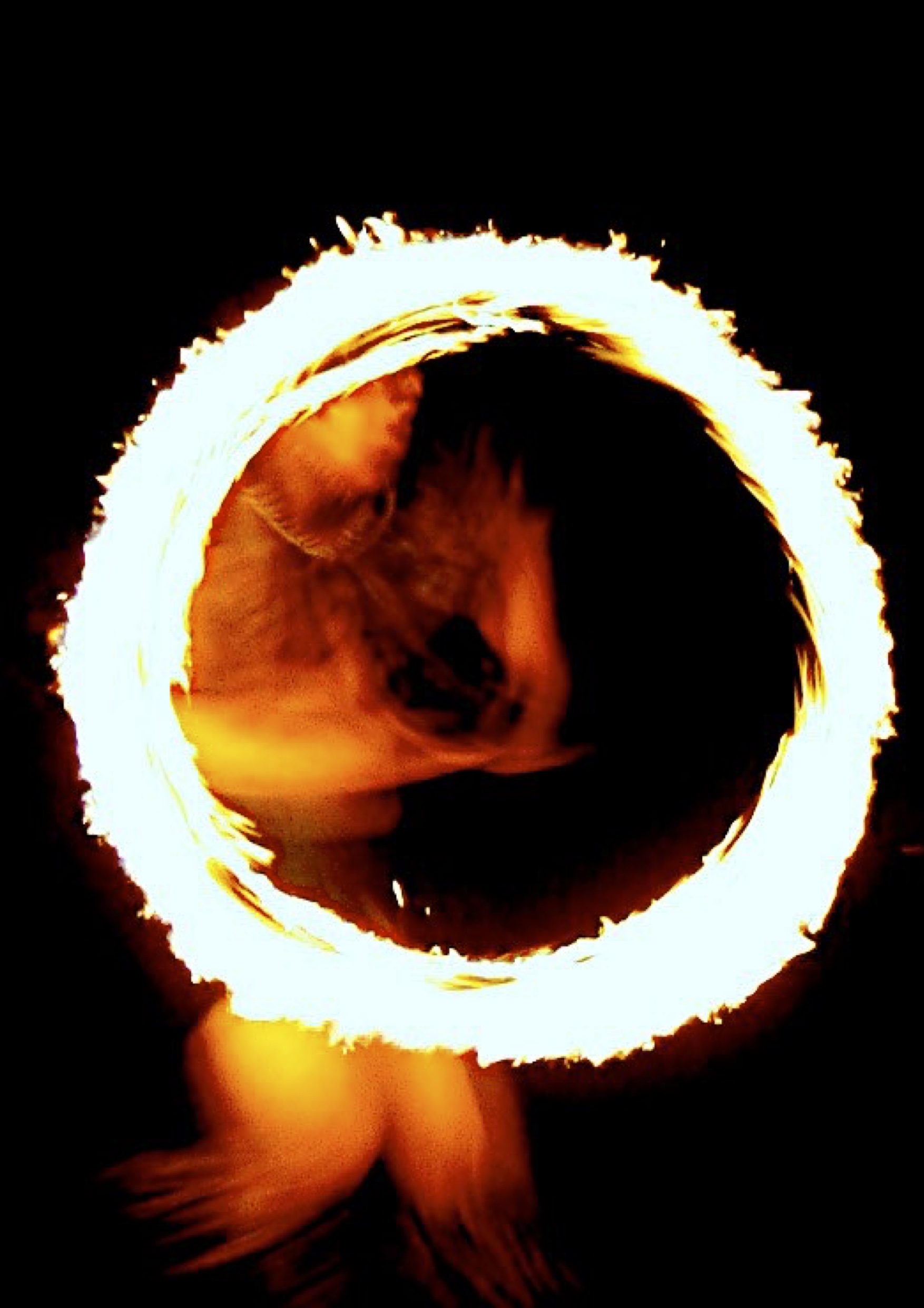 RinGAFA - Wagners Ring Cycle in Concert - Positively Putney