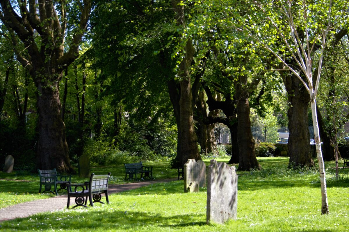 Secret Gems of Putney - Positively Putney