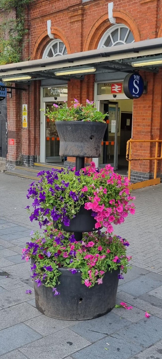 Business in Bloom - Positively Putney