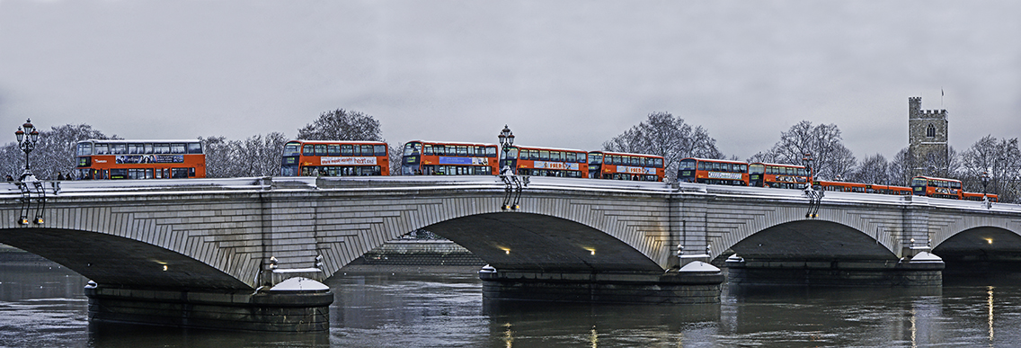 Rowing in Putney 2026 - Positively Putney
